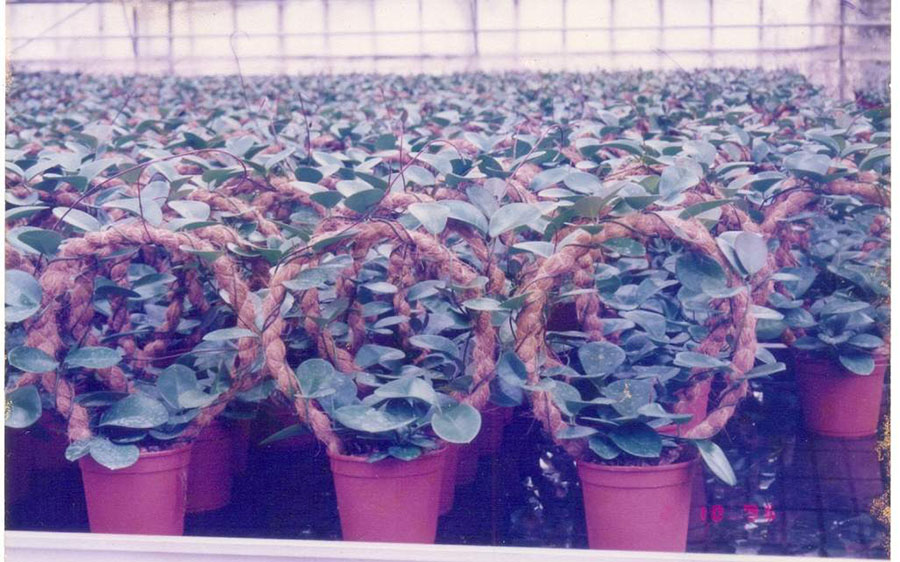 NEKAB (PVT) LTD | Products